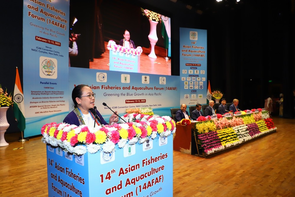 14th AFAF invites UPV VCAA Ferrer as one of the lead speakers