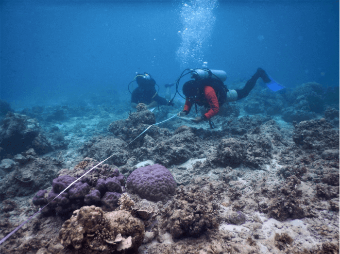 CFOS-IMFO conducts coral reefs assessment training in Antique